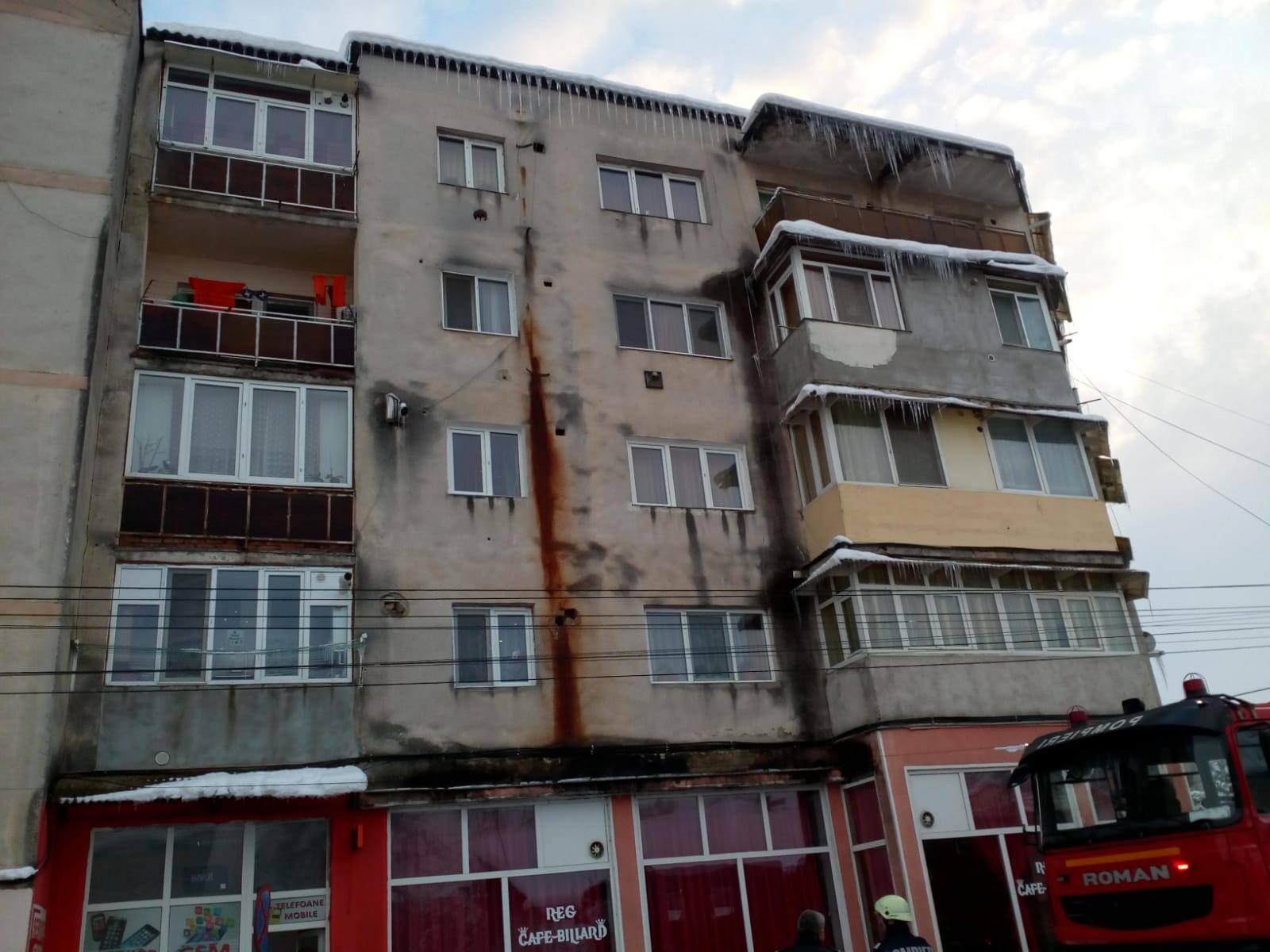 TURTURII UN PERICOL REAL PENTRU TRECATORI - ZTV.ro - Zalau TV