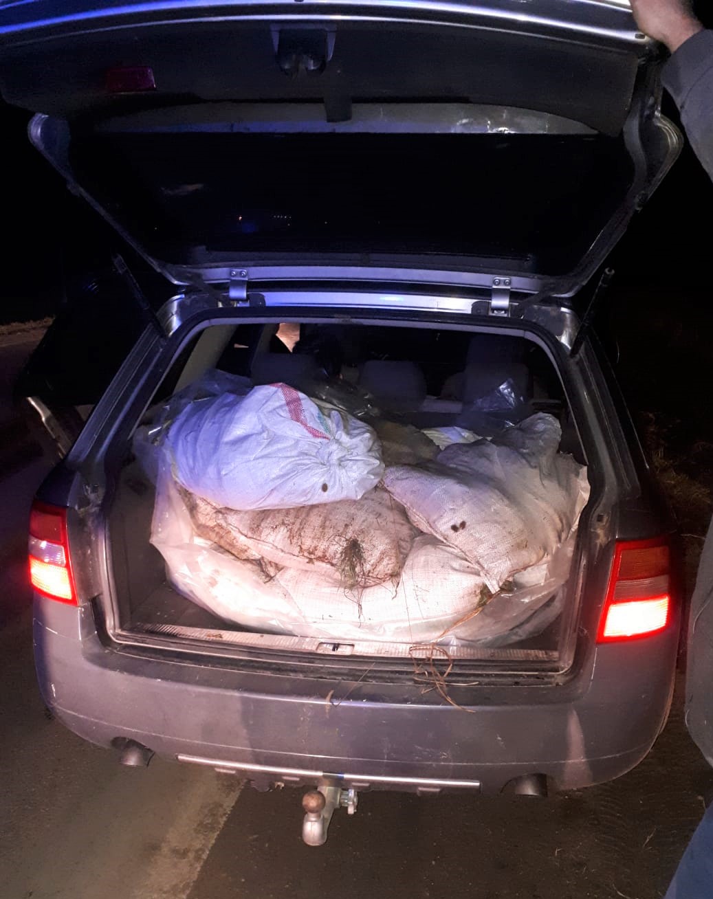 Au confiscat aproximativ 300kg peste viu - ZTV.ro - Zalau TV