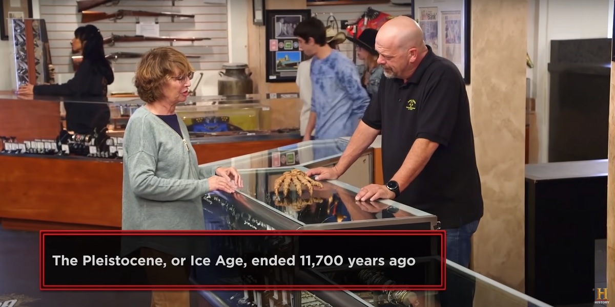 Laba de urs din Romania vanduta in Las Vegas - ZTV.ro - Zalau TV