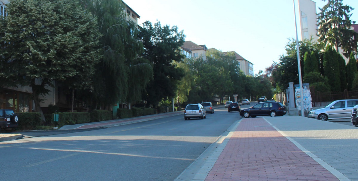 Lucrările de asfaltare a străzii Gheorghe Doja impun restricții de ...