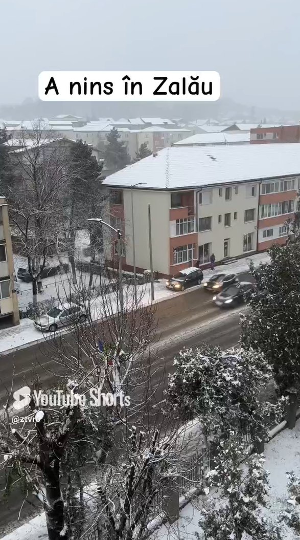 A nins în Zalău - ZTV.ro - Zalau TV