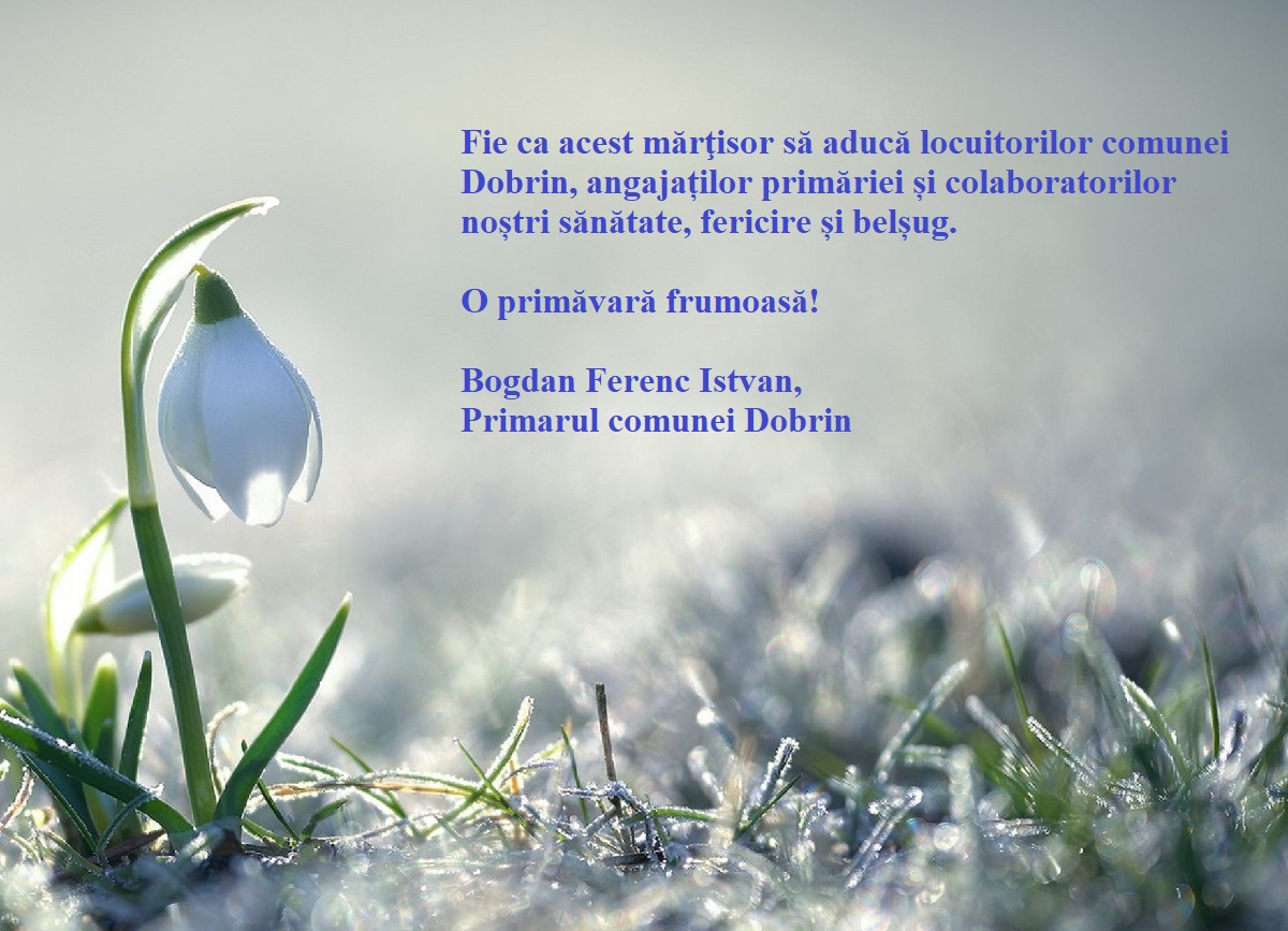 Bogdan Ferenc Istvan, Primarul comunei Dobrin: -O primăvară frumoasă ...
